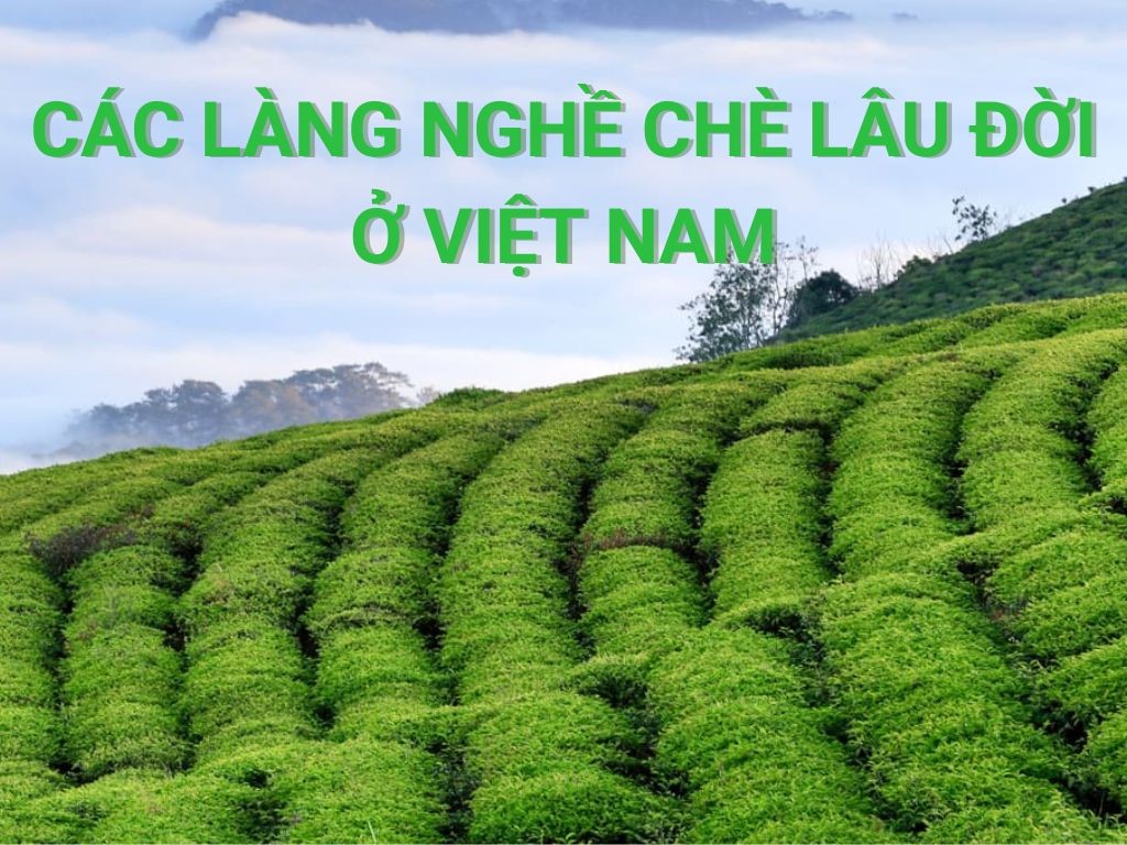 Top 8 Làng Nghề Chè Lâu Đời ở Việt Nam! Top 8 Làng Nghề Chè Truyền ...