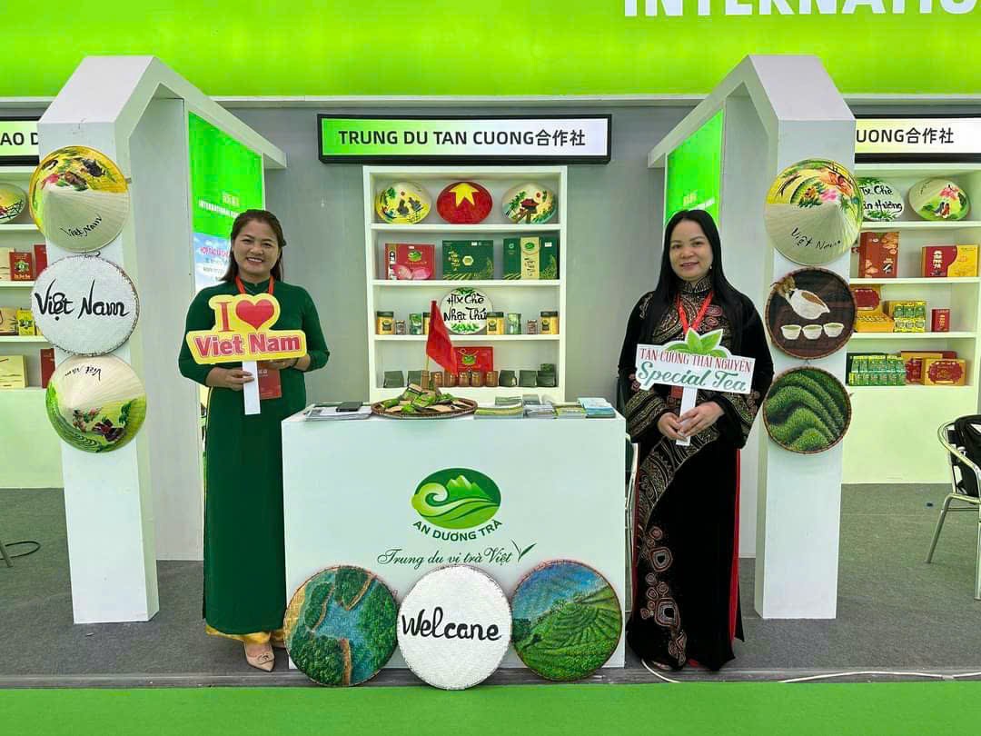 5 Bước Kể Chuyện Thương Hiệu Trà Cho Hội Chợ, Triển Lãm